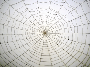 File Spider Web Antenna Pattern on white background - Recraft