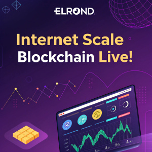 Homepage of Elrond, a blockchain platform. Dark purple background, vibrant logo. 'Internet Scale ...