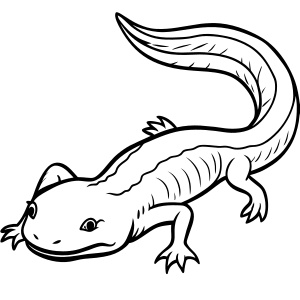 Hellbender on white background ... - Recraft