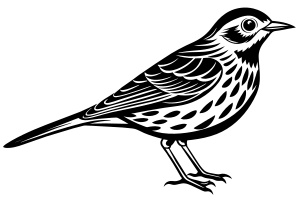 Pipit - Recraft