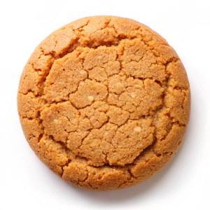 ginger nut top view on white background - Recraft