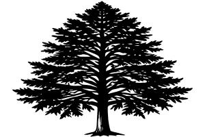 Hemlock tree - Recraft