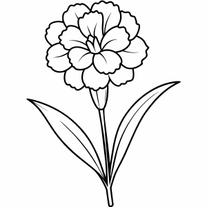 Dianthus flower with stem and leaves illustration coloring page, line ...