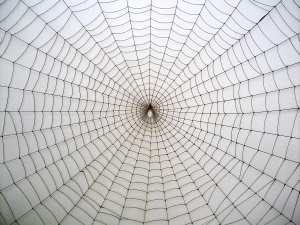 File Spider Web Antenna Pattern on white background - Recraft