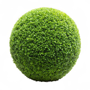 Sphere topiary isolated on white background - Recraft