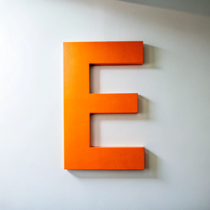 Colored E in Stylish writing with white background - Recraft