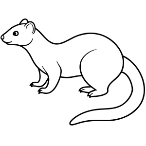 Simple mongoose - Recraft